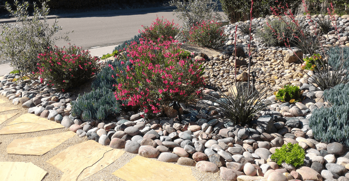 Xeriscaping: A Water-Wise Landscaping Solution for Your Alberta Yard